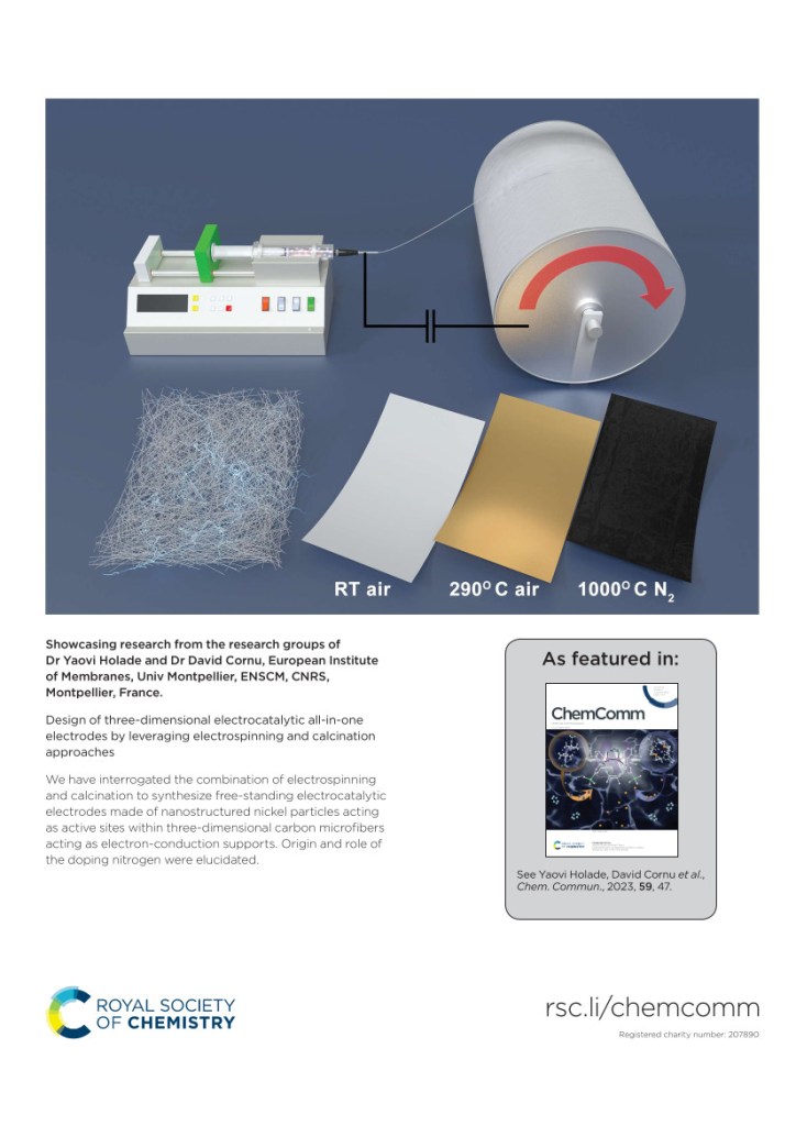 Electrocatalysis, Electrosynthesis & Electroanalysis Unit ...